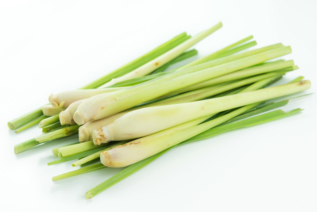 Top 6 Amazing Health Benefits of Lemongrass